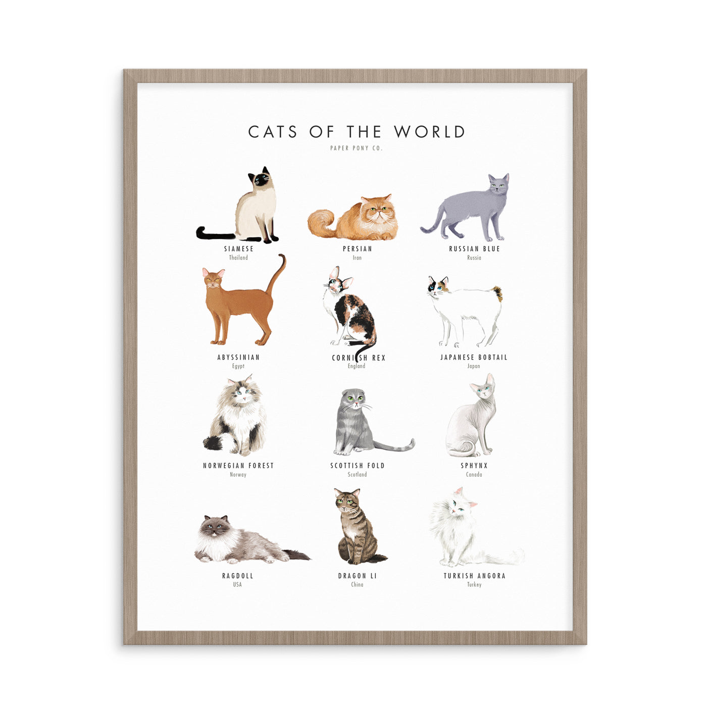 Cat Breeds Poster